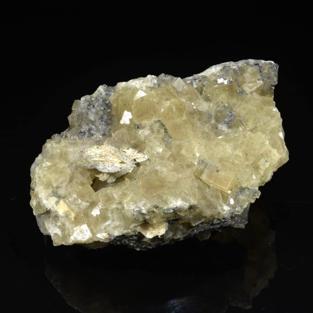 Barytine et Pyrite, Les Sausses, Chavaniac-Lafayette, Haute-Loire.