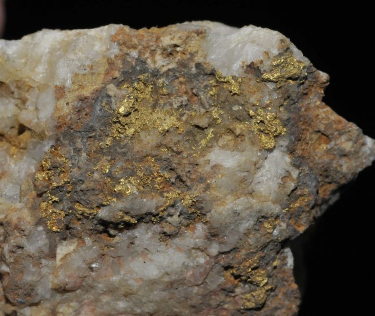 Or natif de Guyane (ex Deyrolle)