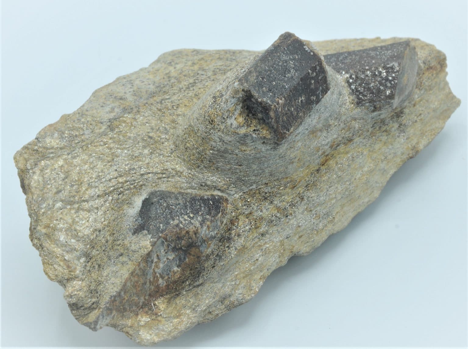 Staurotide (Staurolite), Coray - Scaër, Finistère, Bretagne.