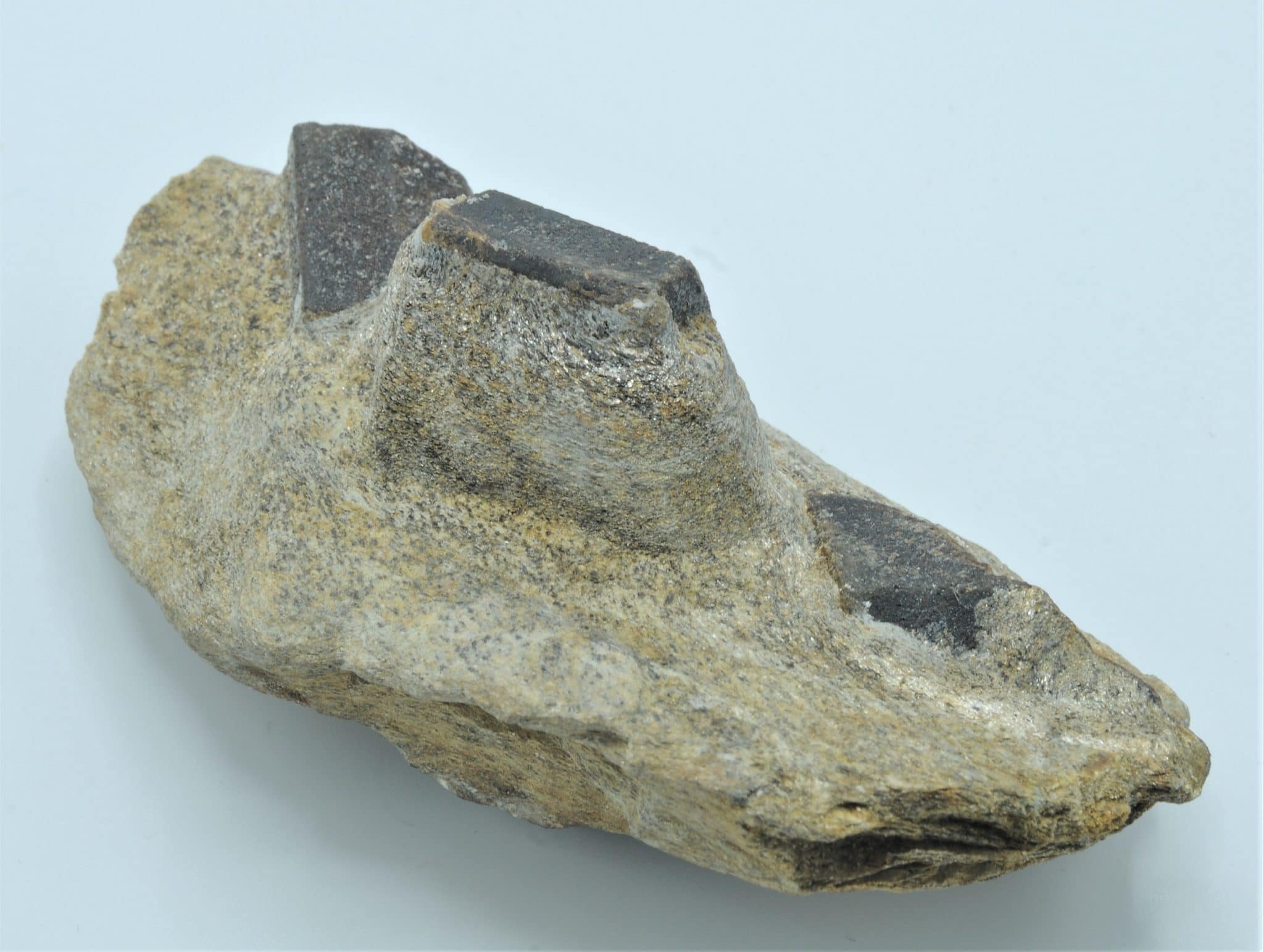 Staurotide (Staurolite), Coray - Scaër, Finistère, Bretagne.