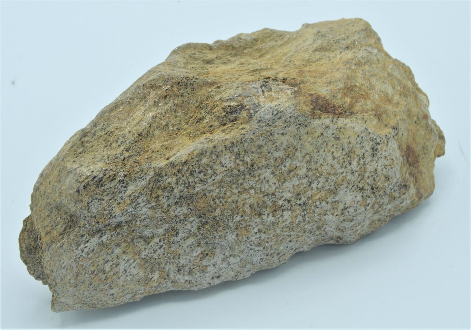 Staurotide (Staurolite), Coray - Scaër, Finistère, Bretagne.