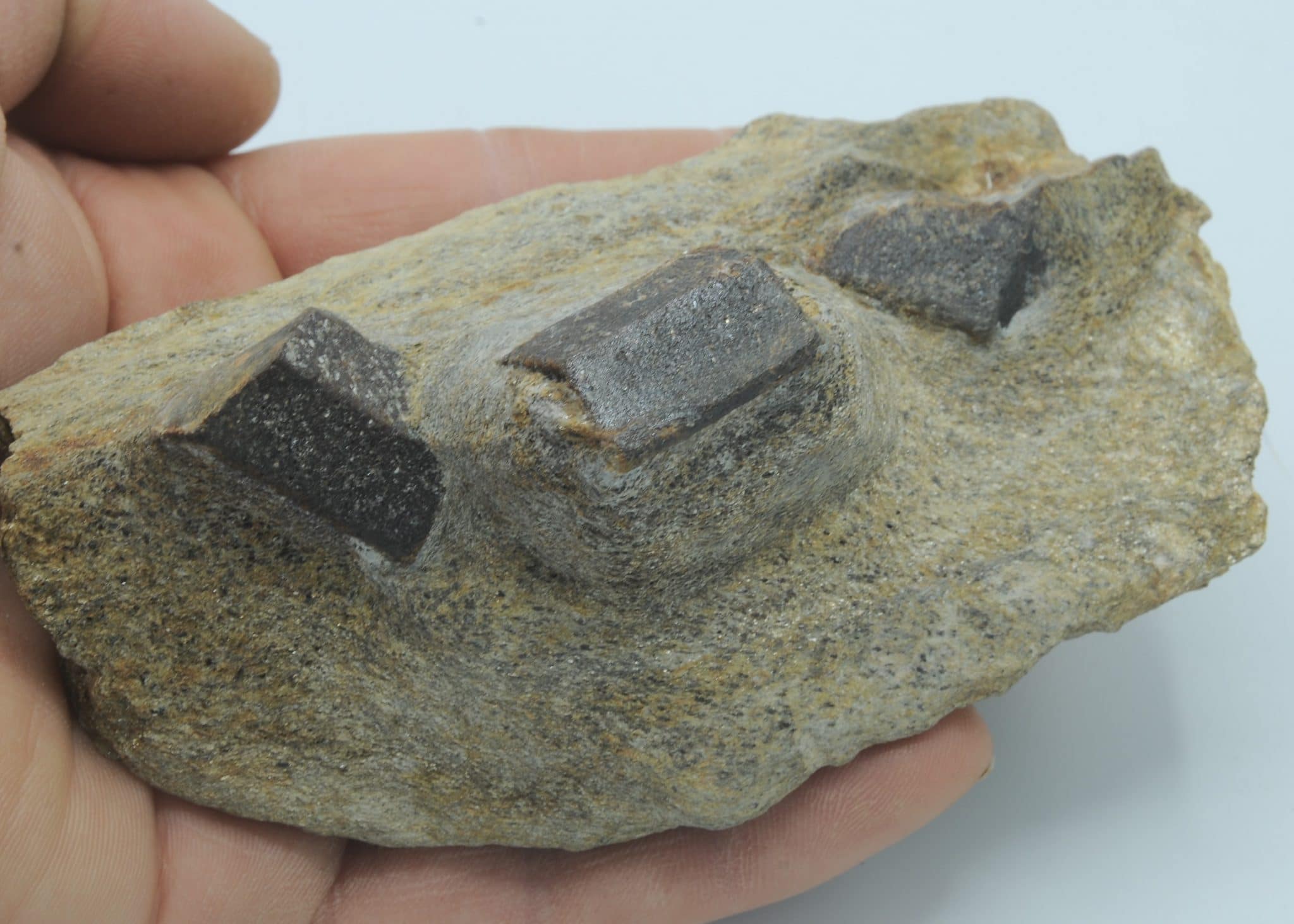 Staurotide (Staurolite), Coray - Scaër, Finistère, Bretagne.