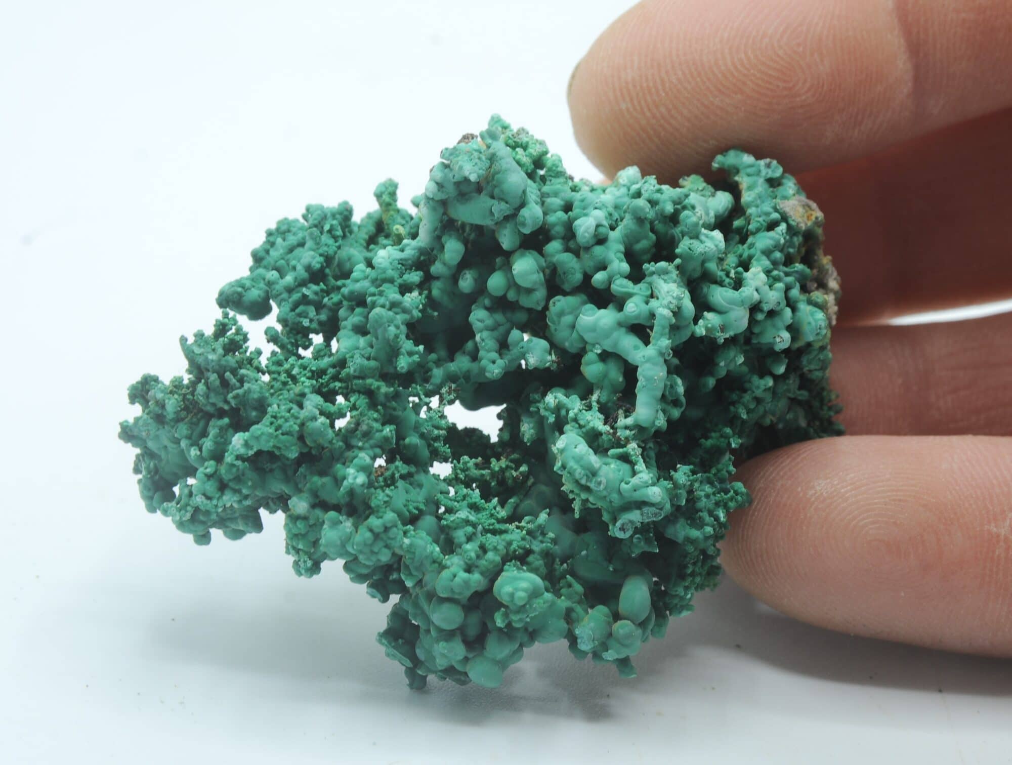 Concrétions de Malachite, Bouche-Payrol, Brusque, Aveyron.