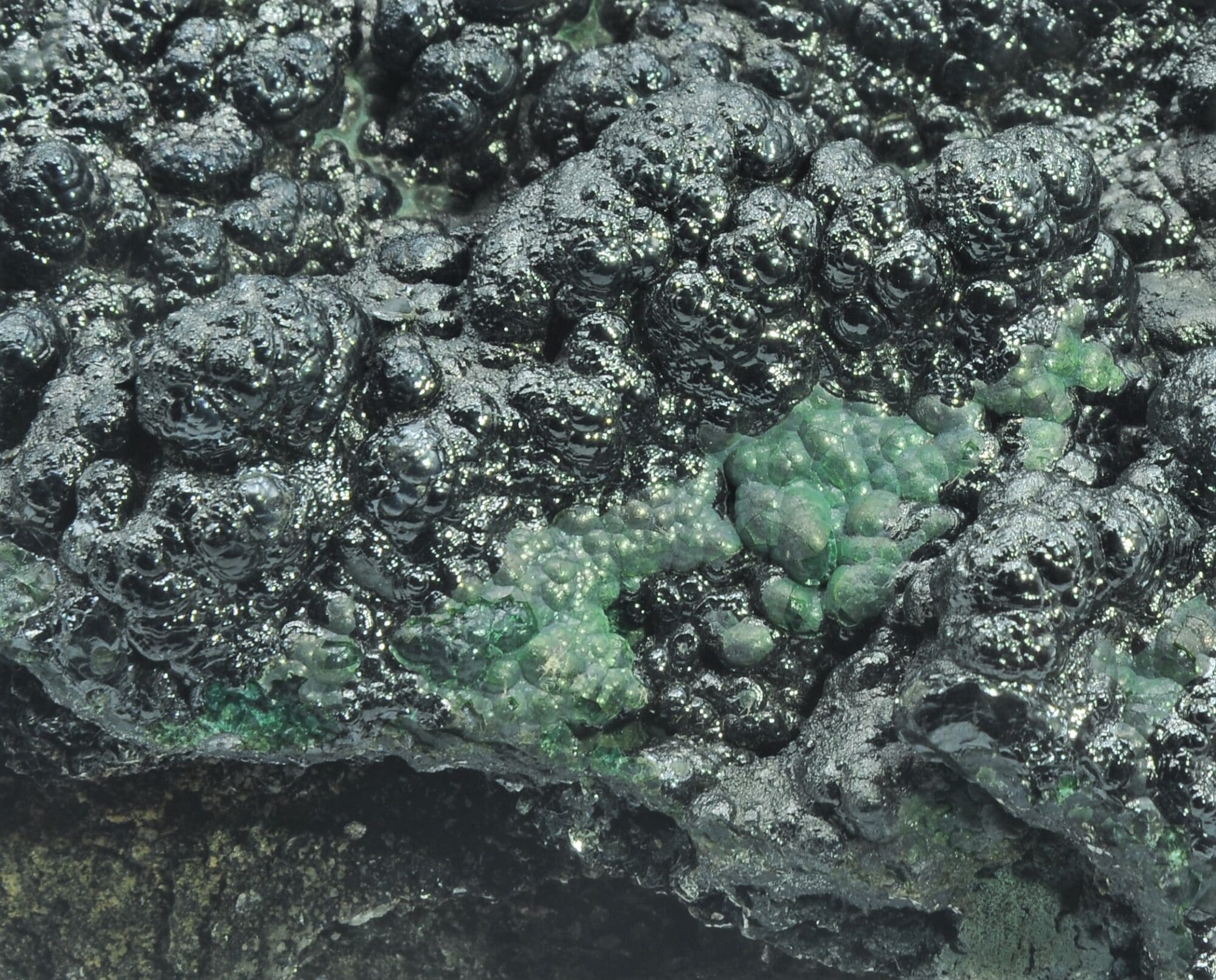 Heterogenite et Chrysocolle, Haut-Katanga, Congo.