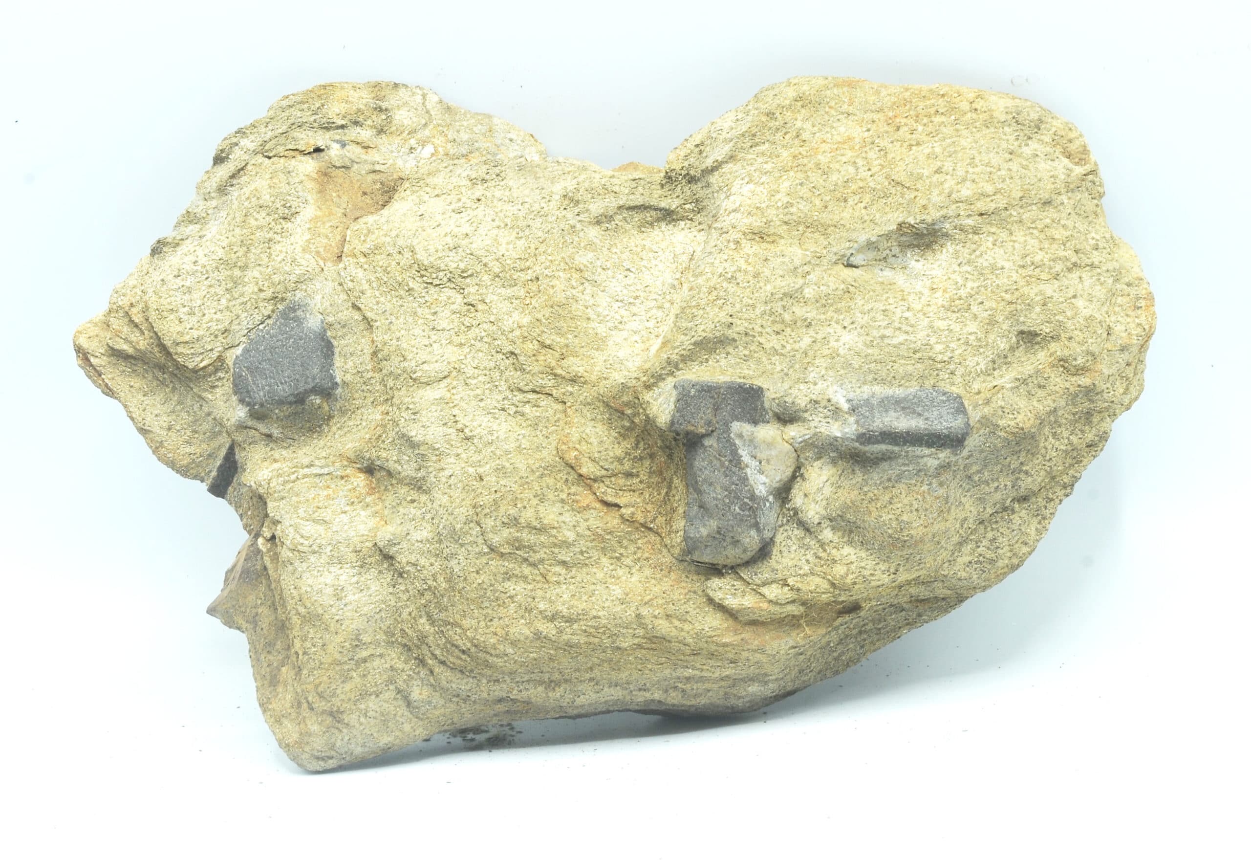 Staurotide (Staurolite), Coray – Scaër, Finistère, Bretagne.