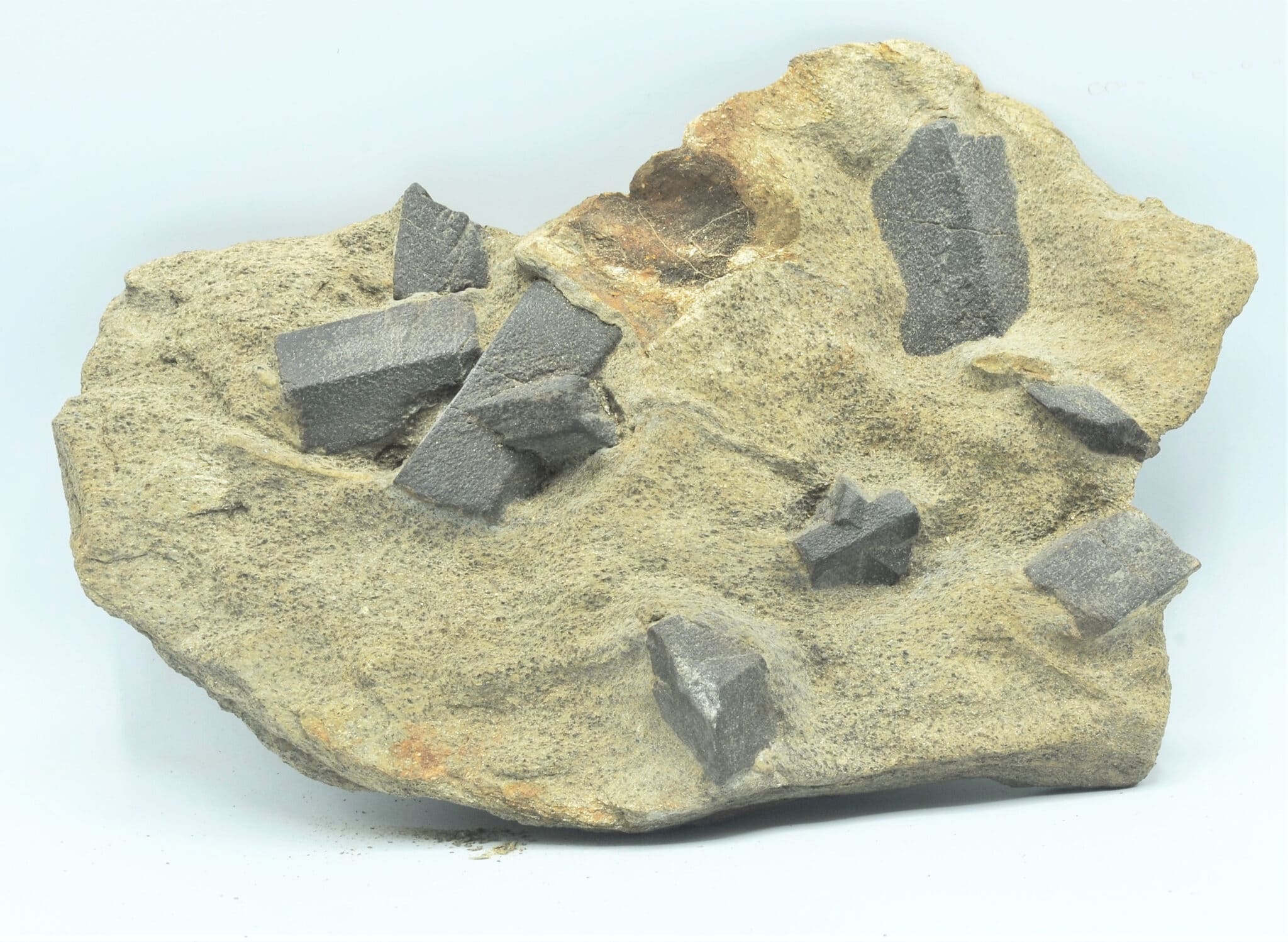 Staurotide (Staurolite), Coray – Scaër, Finistère, Bretagne.