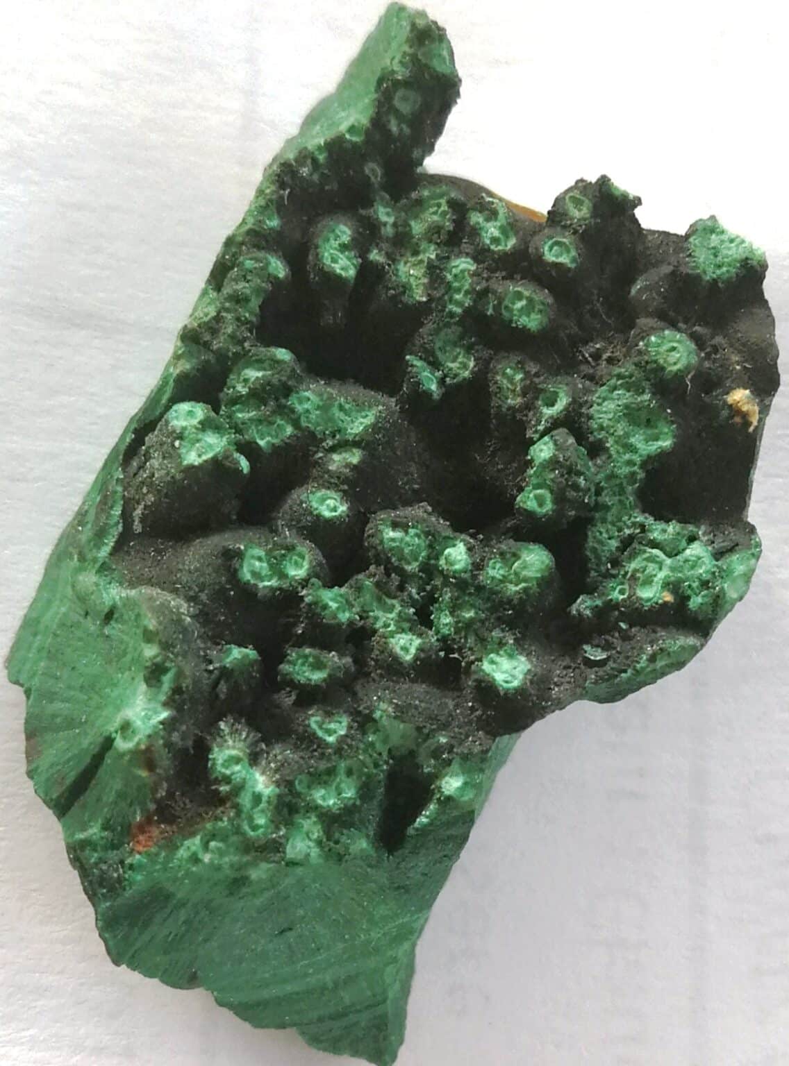 Malachite fibreuse (Faserig Malachit), Nouvelle-Galles du Sud ...