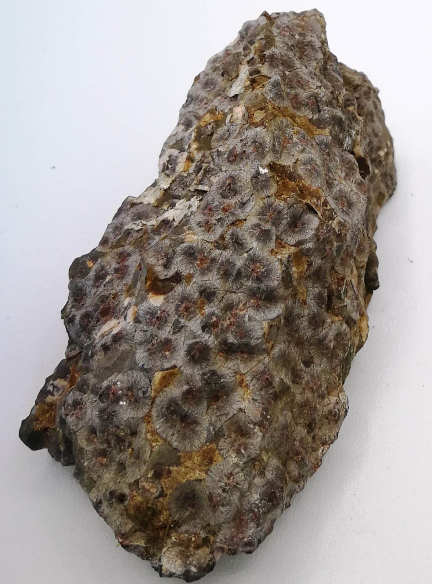 Variolite, Col du Chenaillet, Briançon, Hautes-Alpes.