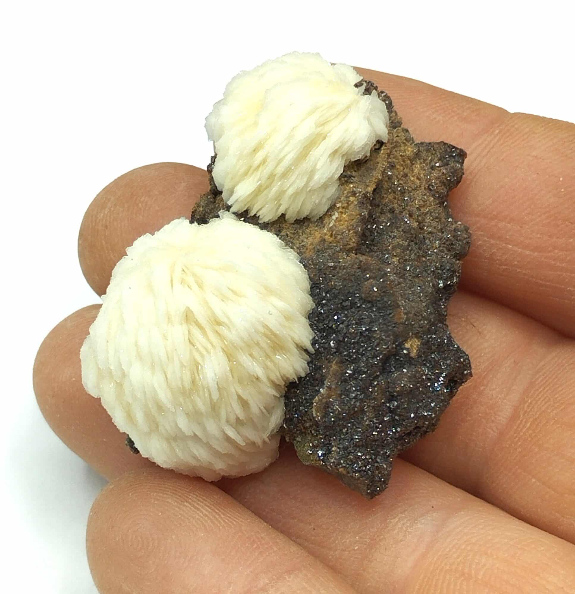 Baryte (Barytine) et Sphalérite, Saint Laurent le Minier, Gard.